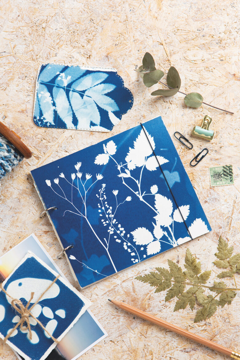 Beginner's Guide to Cyanotype by Kim Tillyer - From Britain with Love